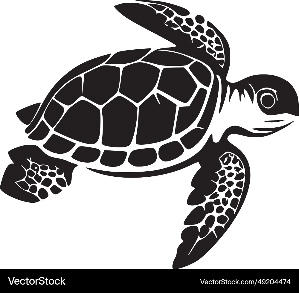 Sea turtle - black and white Royalty Free Vector Image