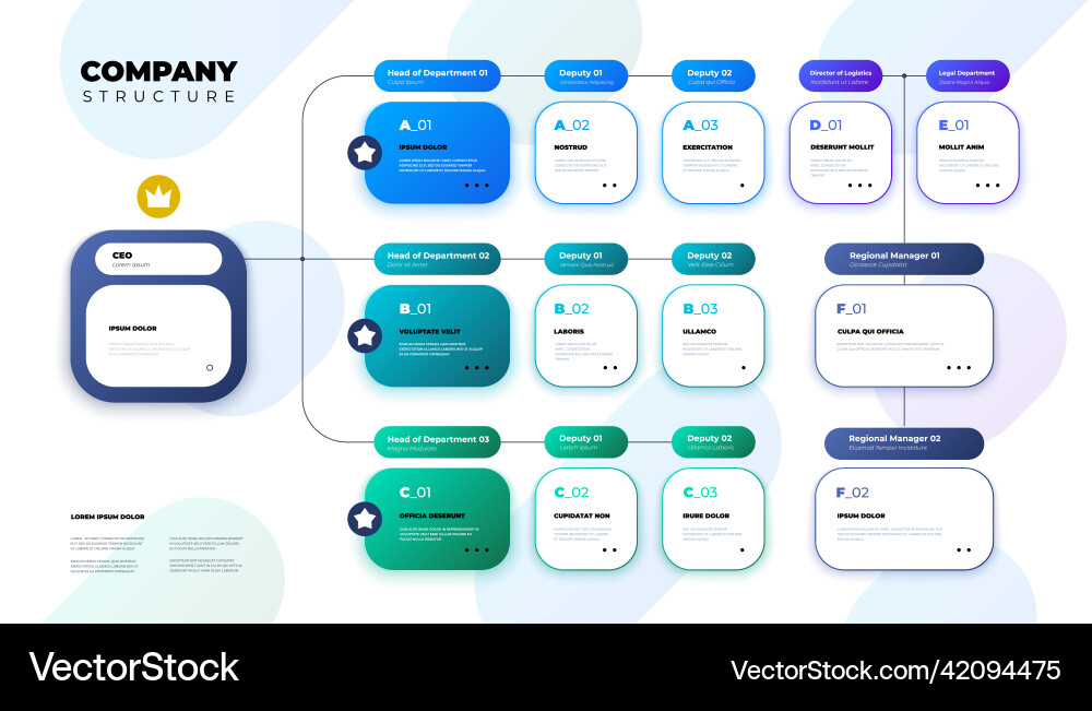 Company structure business organization scheme Vector Image