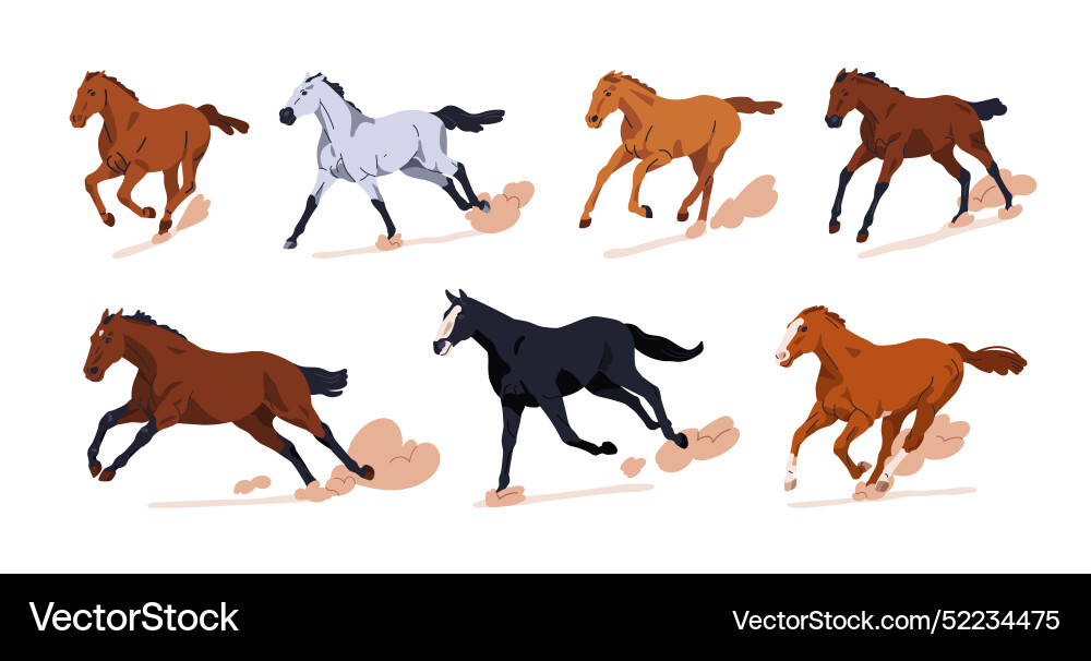 Galloping horses in motion thoroughbred stallions Vector Image