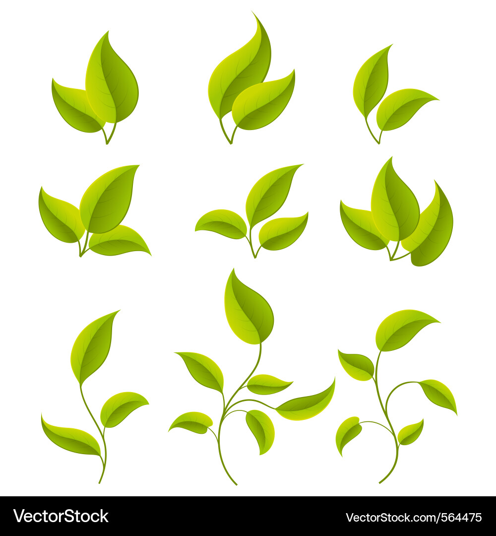 Green Objects Vector Images (over 600,000)
