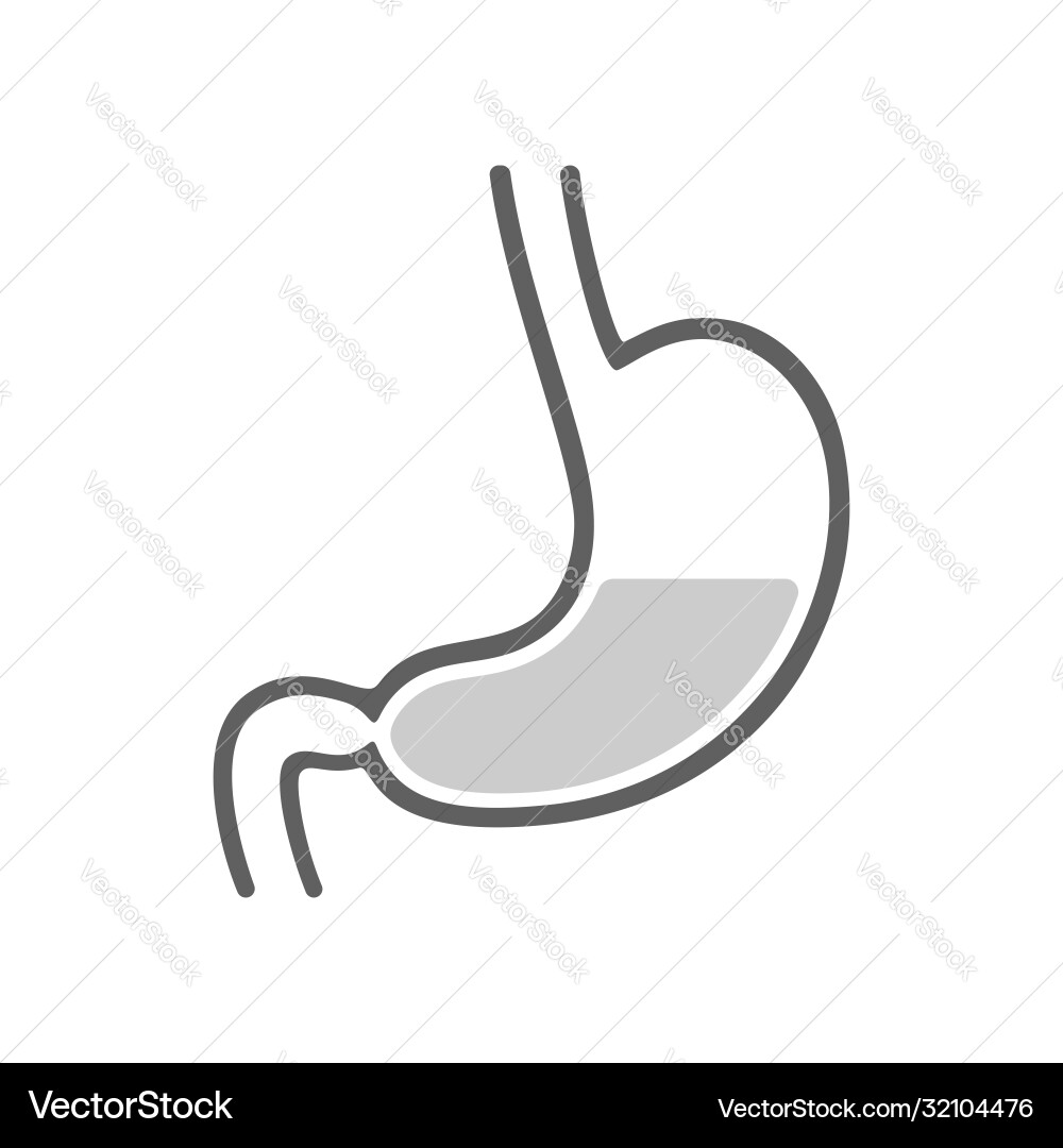 Digestion icon Royalty Free Vector Image - VectorStock
