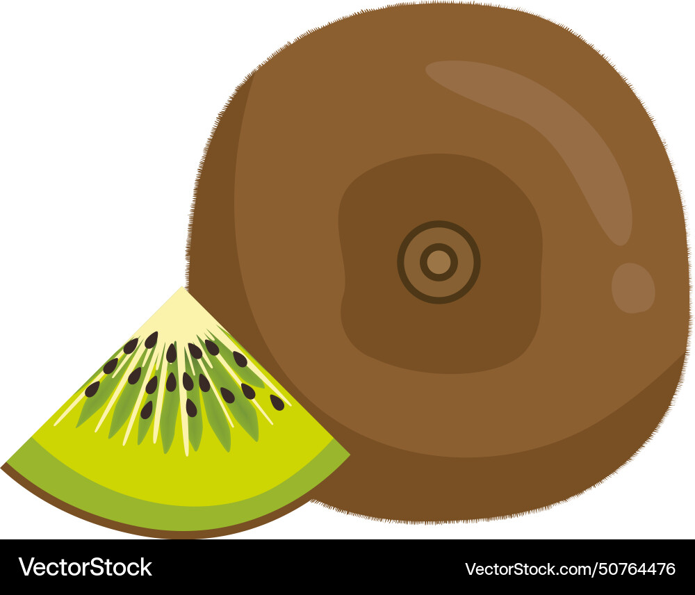 Kiwi fruit and small slice of cut Royalty Free Vector Image