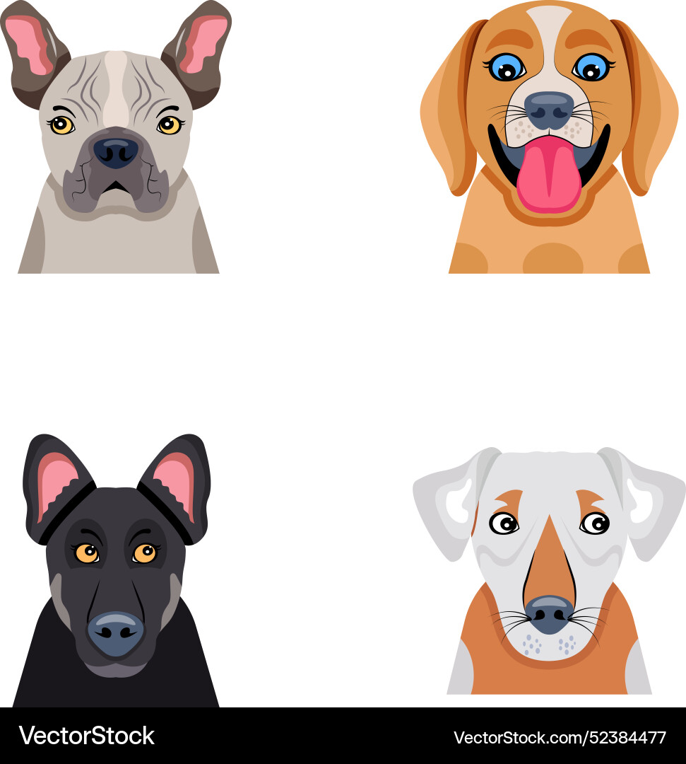Basic rgblatest set of dog pet flat Royalty Free Vector