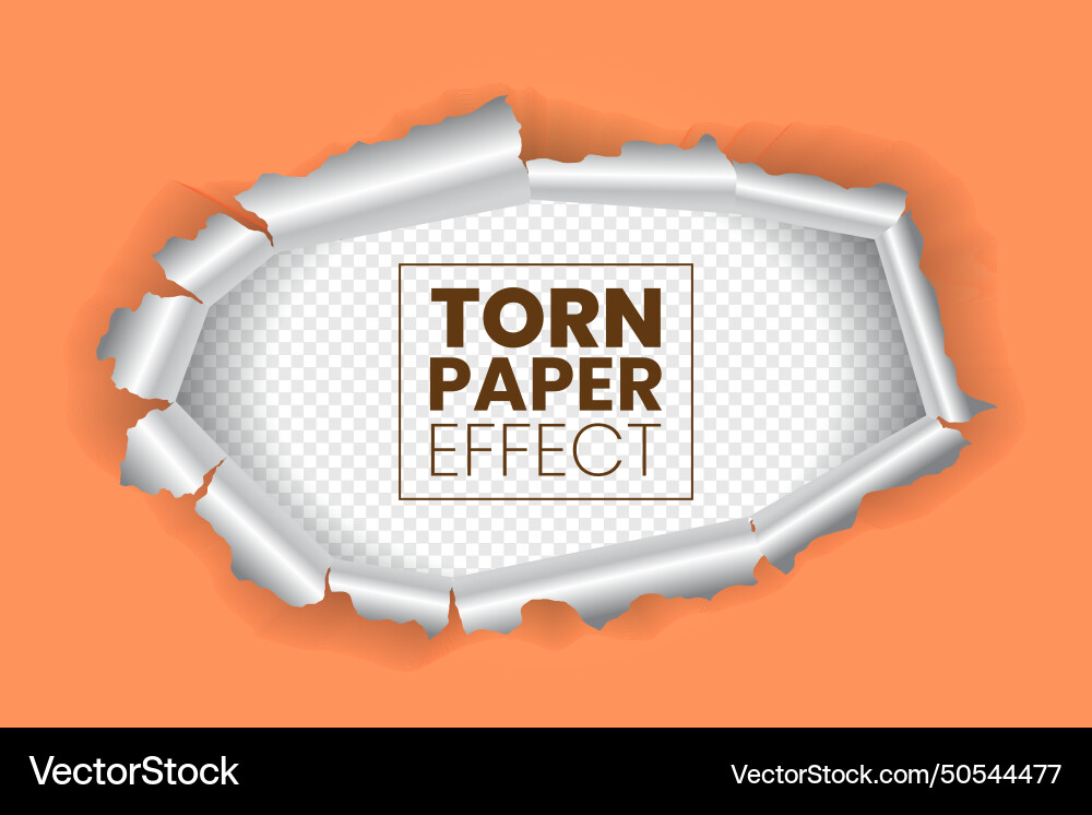 Ripped torn paper hole on transparent background Vector Image