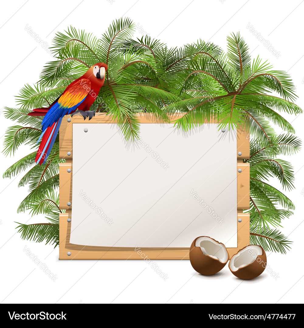 Wooden frame with palm tree Royalty Free Vector Image