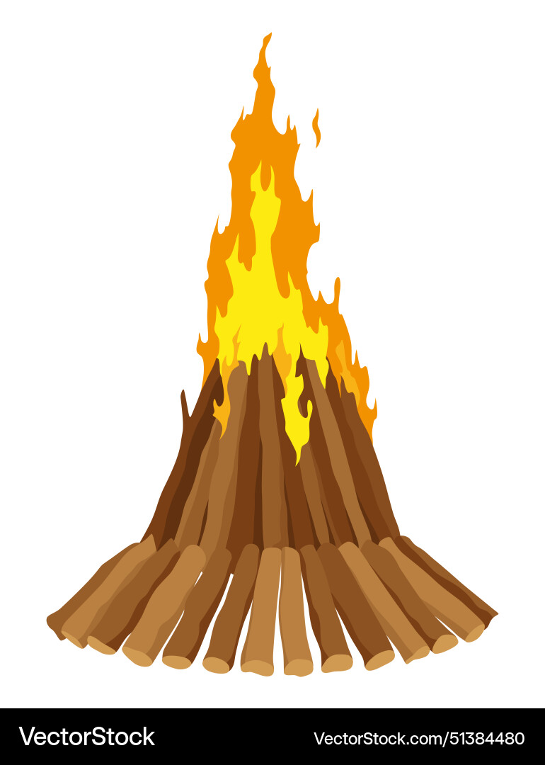 Fireplace campfire type burning wood travel Vector Image