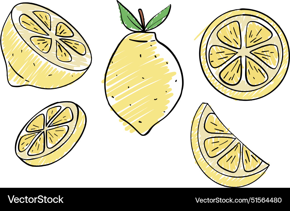 Yellow lemons Royalty Free Vector Image - VectorStock