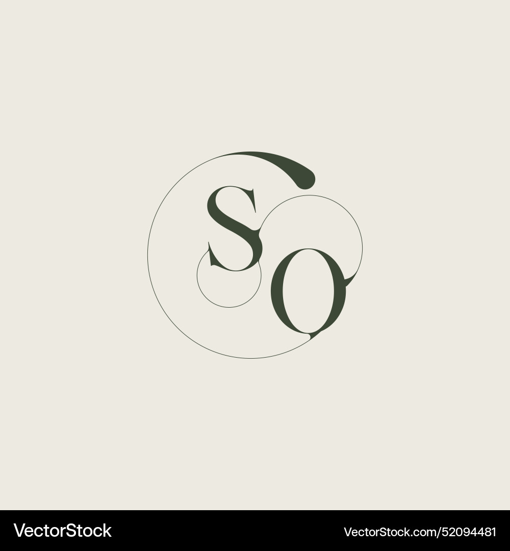 Beautiful monogram initial elegant line concept Vector Image