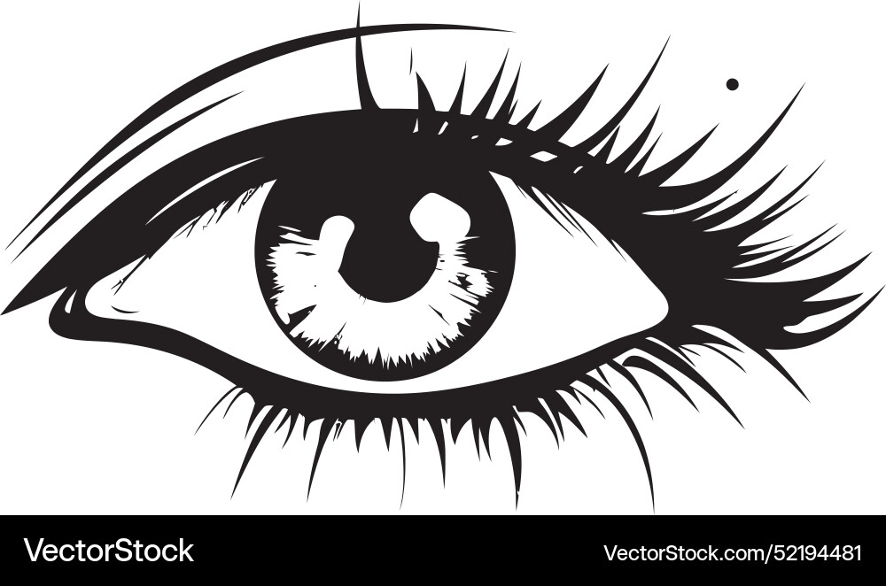 Eyes connection to the nervous system Royalty Free Vector
