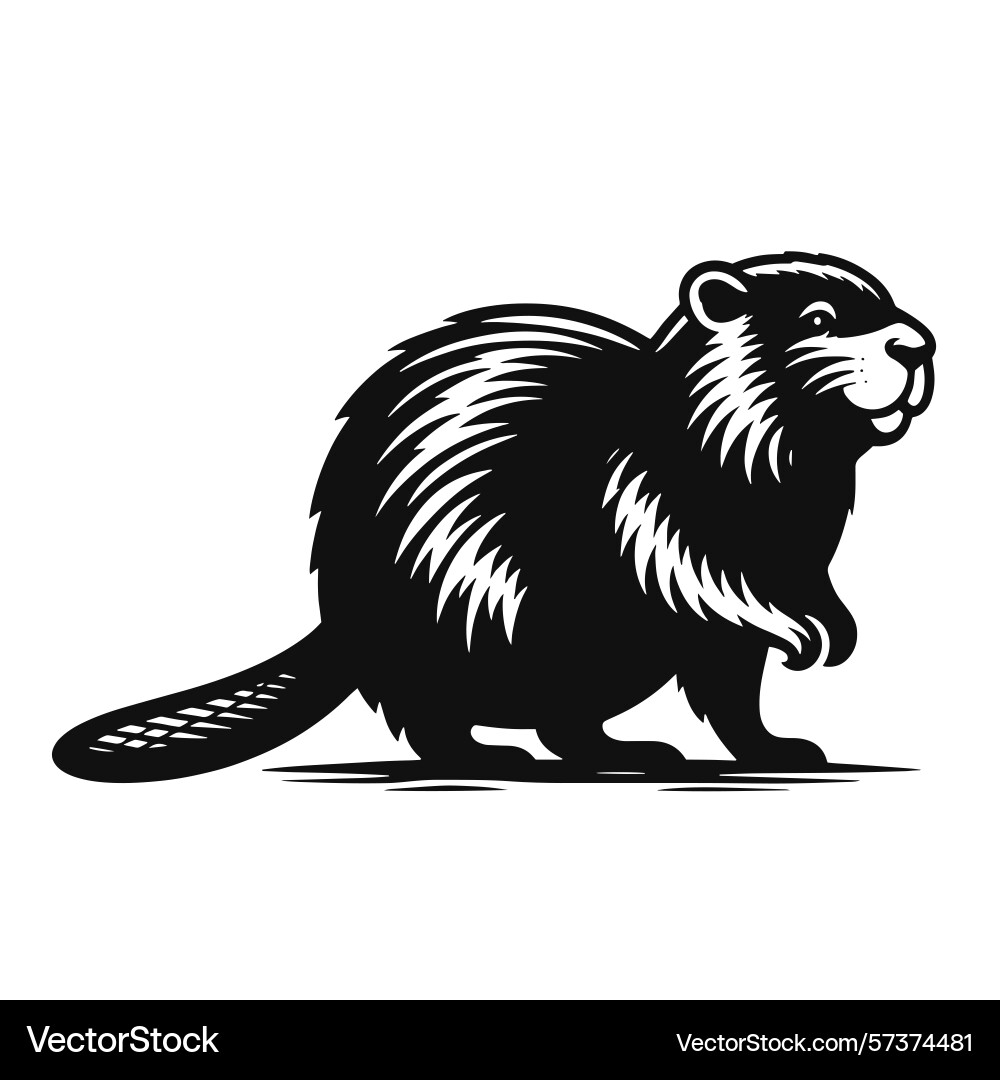 Standing beaver silhouette black for nature Vector Image