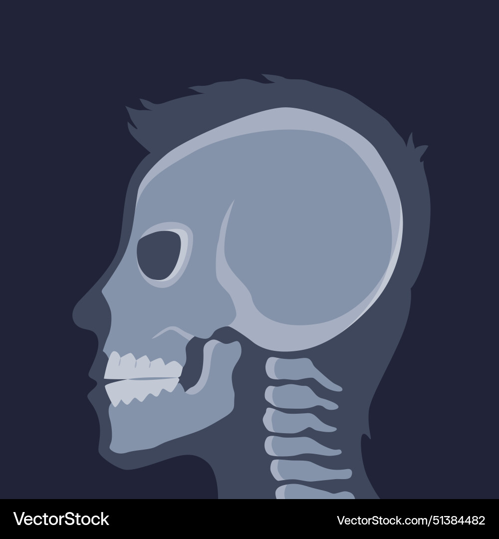Human bones orthopedic and skeleton icon bone x Vector Image