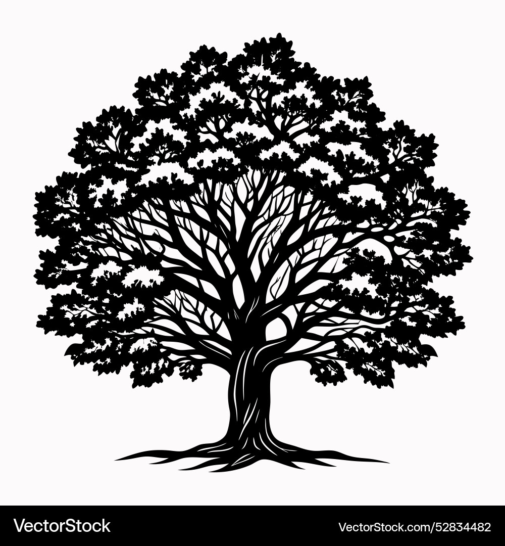Oak tree silhouettes set Royalty Free Vector Image