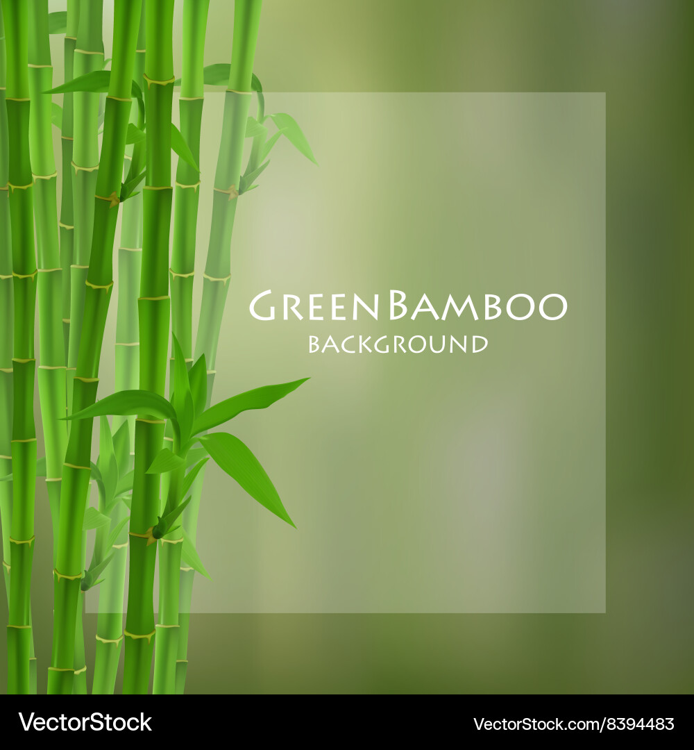 Green Bamboo Background Royalty Free Vector Image