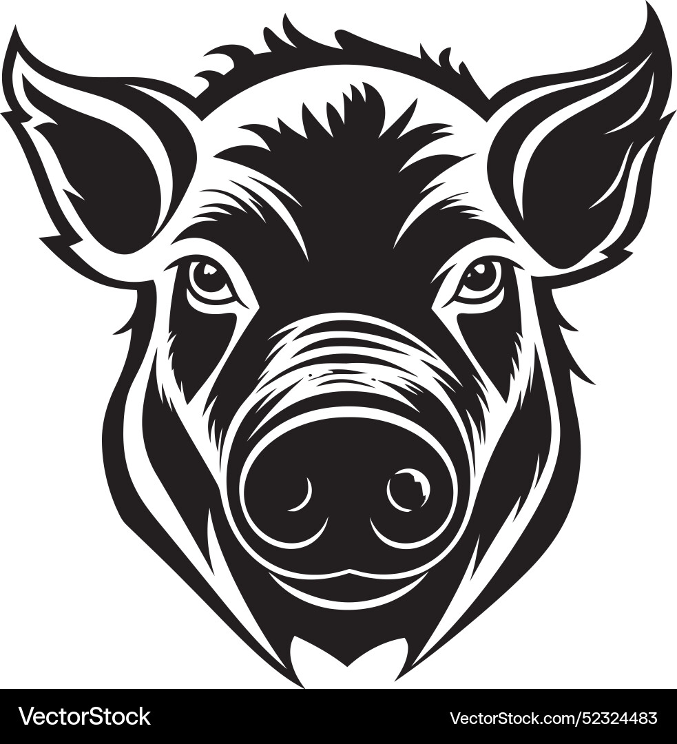 Shadowy silhouettes pig silhouette Royalty Free Vector Image