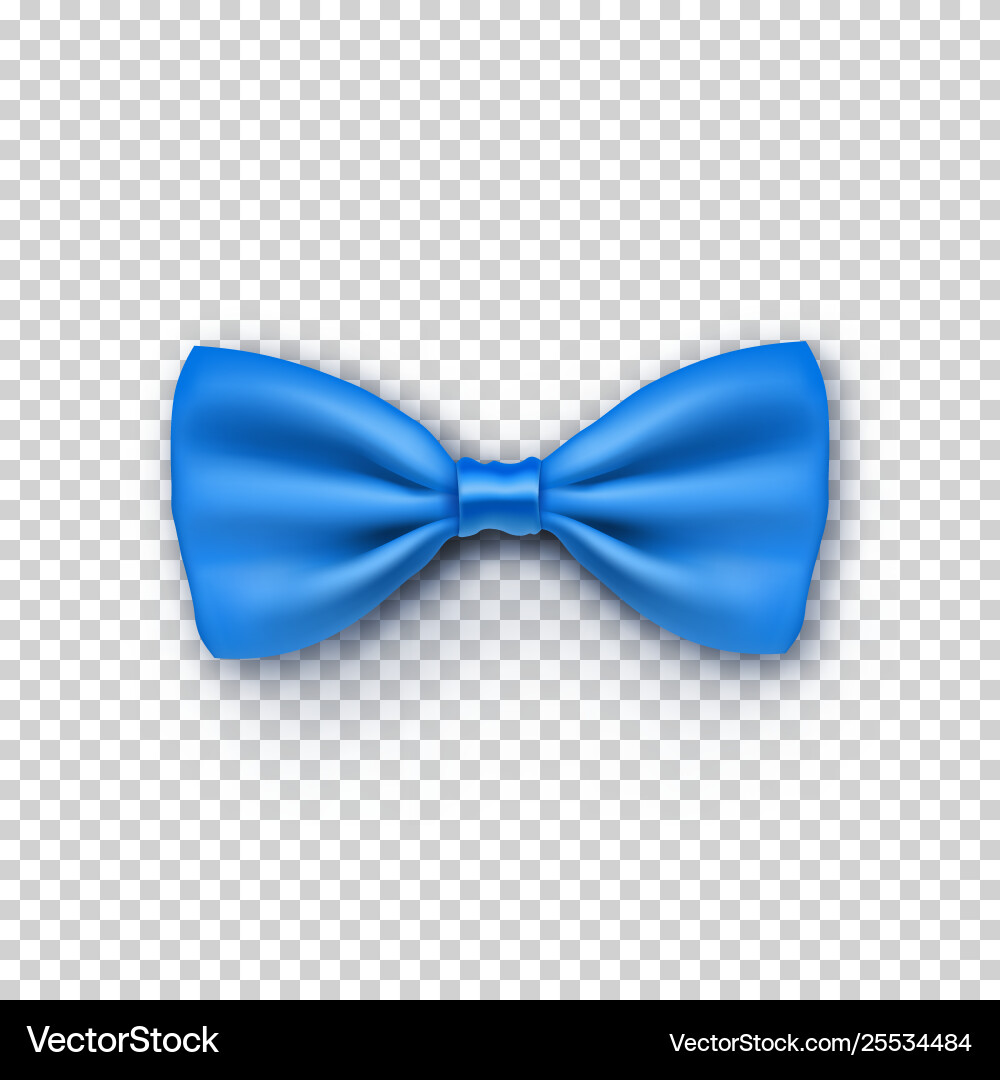 Elegant Blue Satin Bow Tie Royalty Free Vector Image