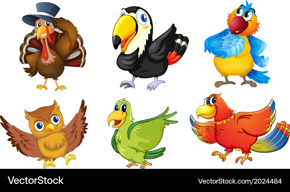Mixed birds on a white background Royalty Free Vector Image