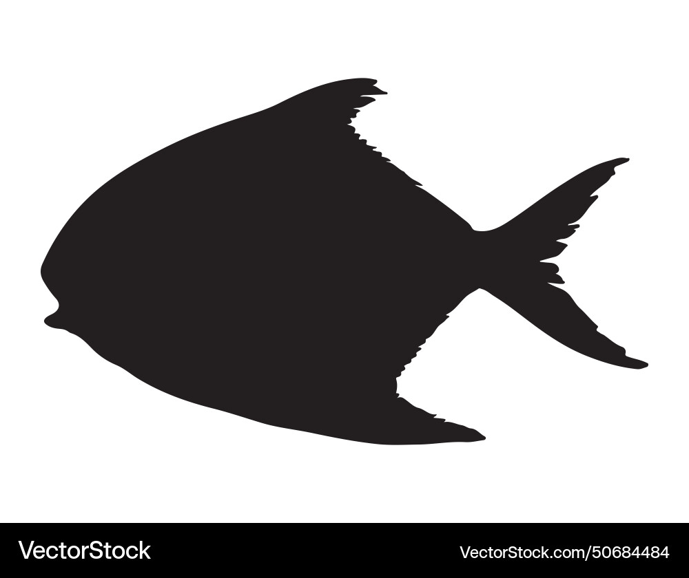 Pomfret fish silhouette art Royalty Free Vector Image