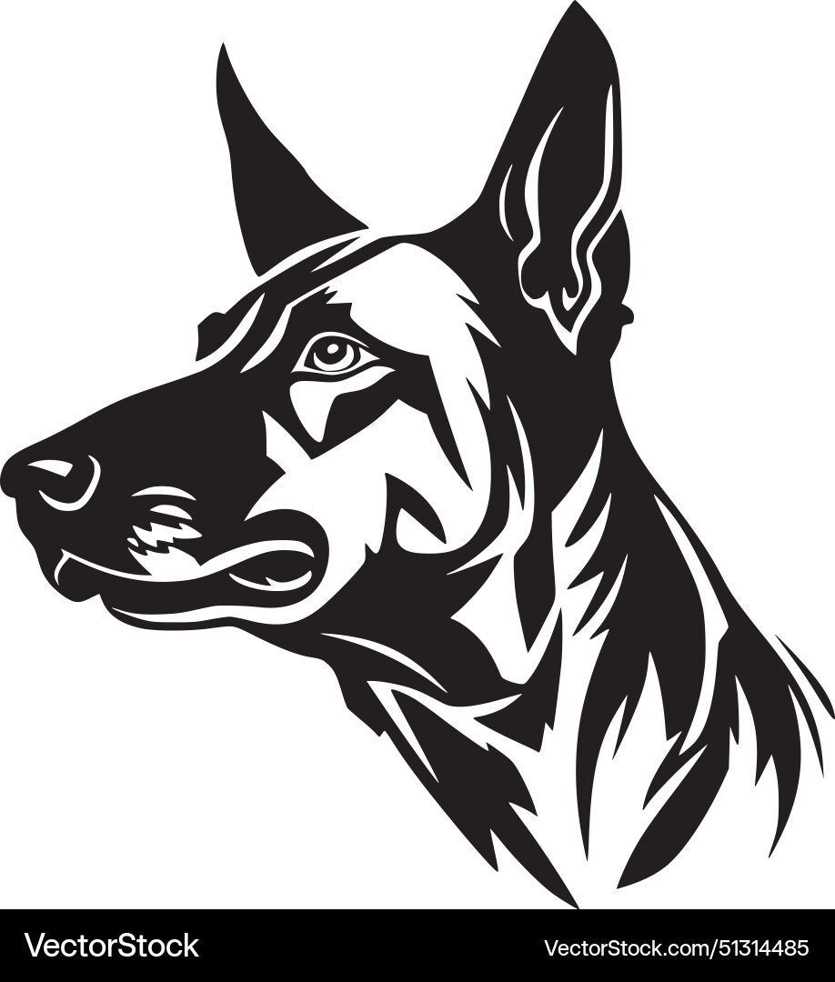 Australian kelpie - minimalist and simple Vector Image