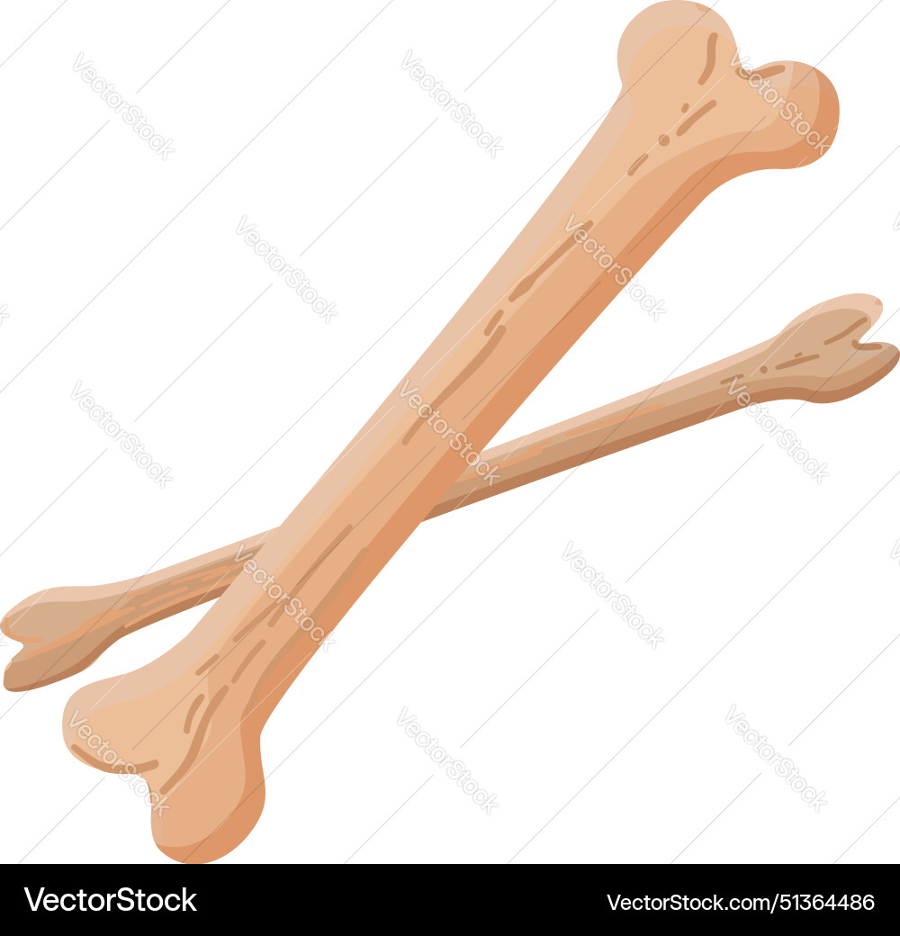 Cartoon of crossed bones Royalty Free Vector Image