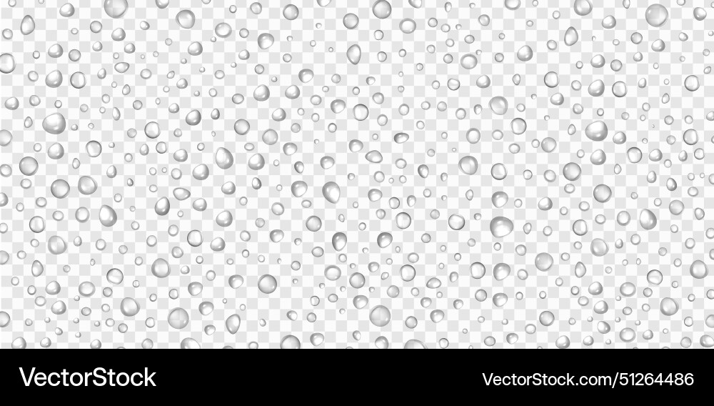 Realistic water drops on transparent background Vector Image
