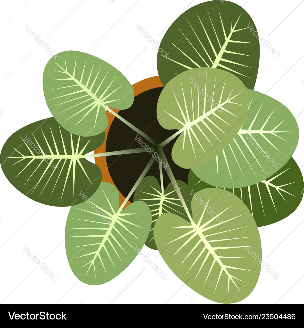 Top view plants easy copy paste in your landscape Vector Image