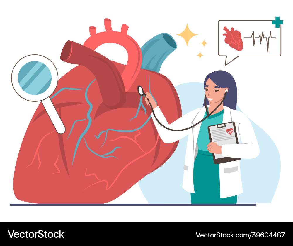 Doctor cardiologist examining human heart Vector Image