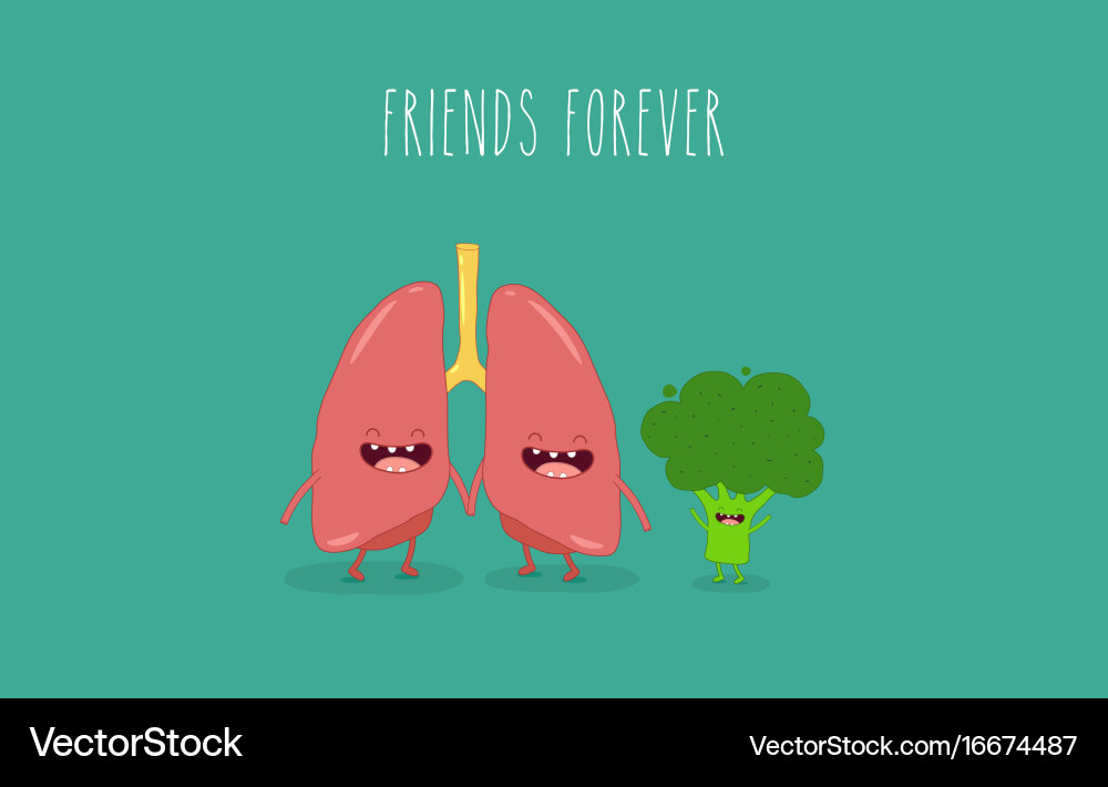 Healthy food for internal organs Royalty Free Vector Image