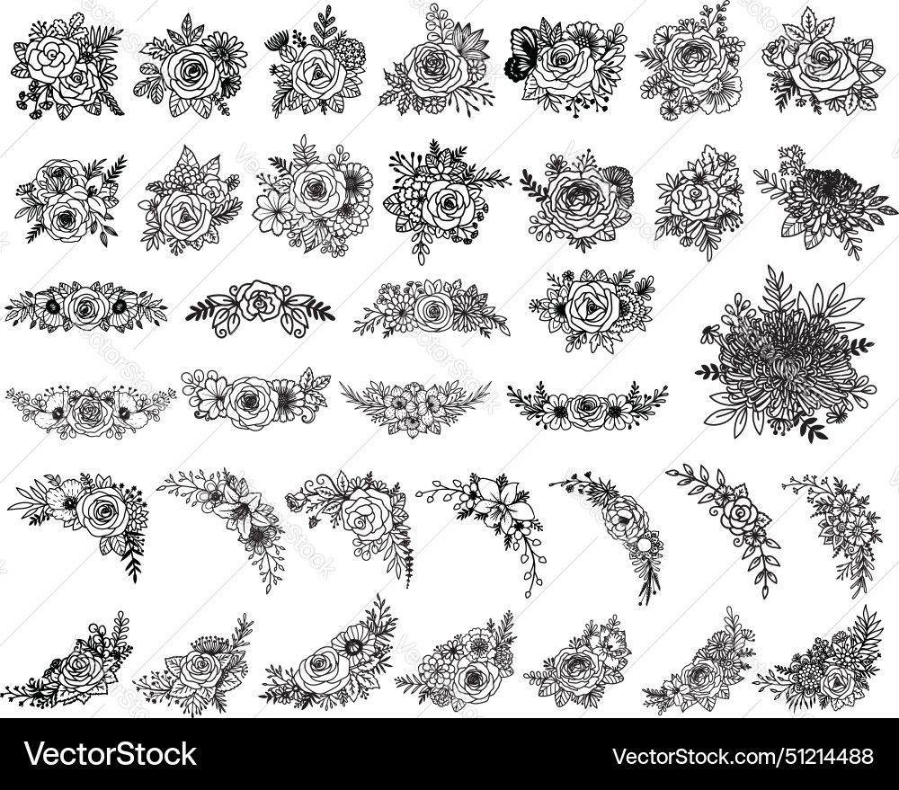 Aster Drawing Vector Images (over 2,500)