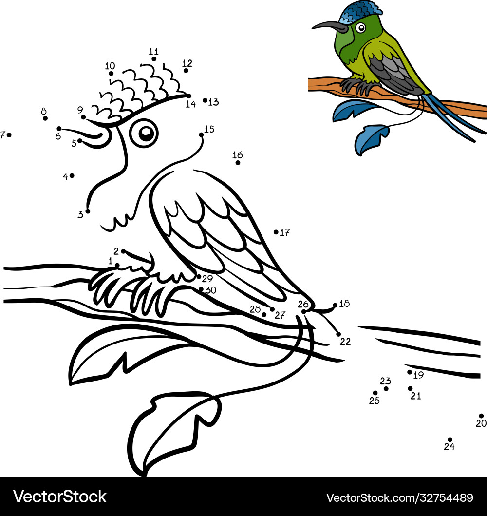 Numbers game racket-tail hummingbird Royalty Free Vector