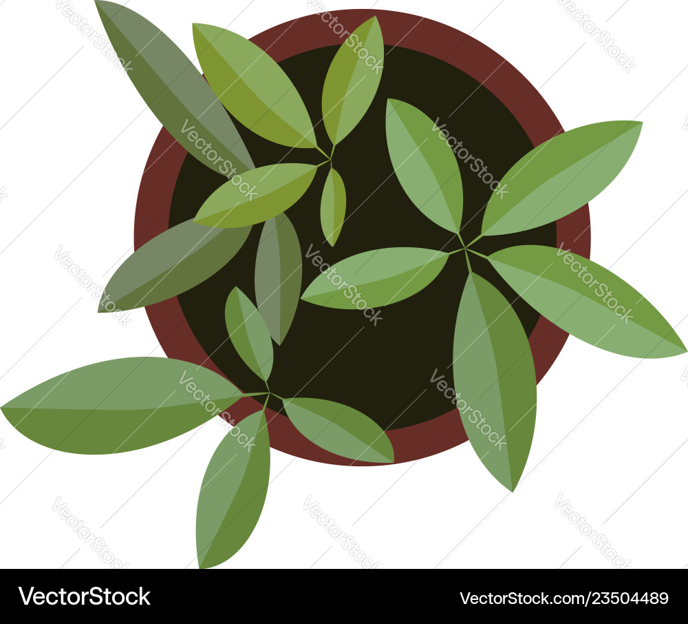Top view plants easy copy paste in your landscape Vector Image