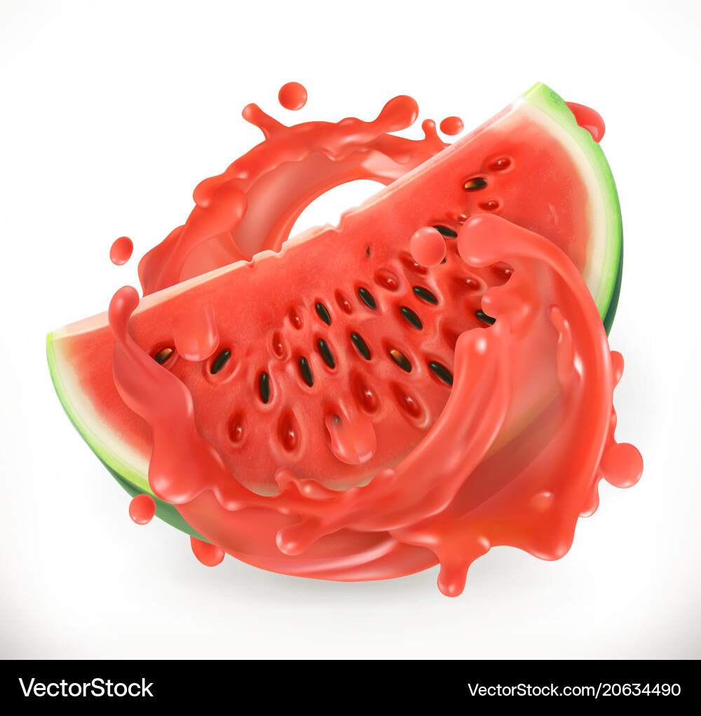 Wassermelonensaft frisches Obst 3d Realismus-Ikone