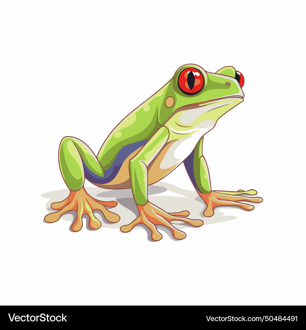 Frog isolated on white background cartoon style Vector Image