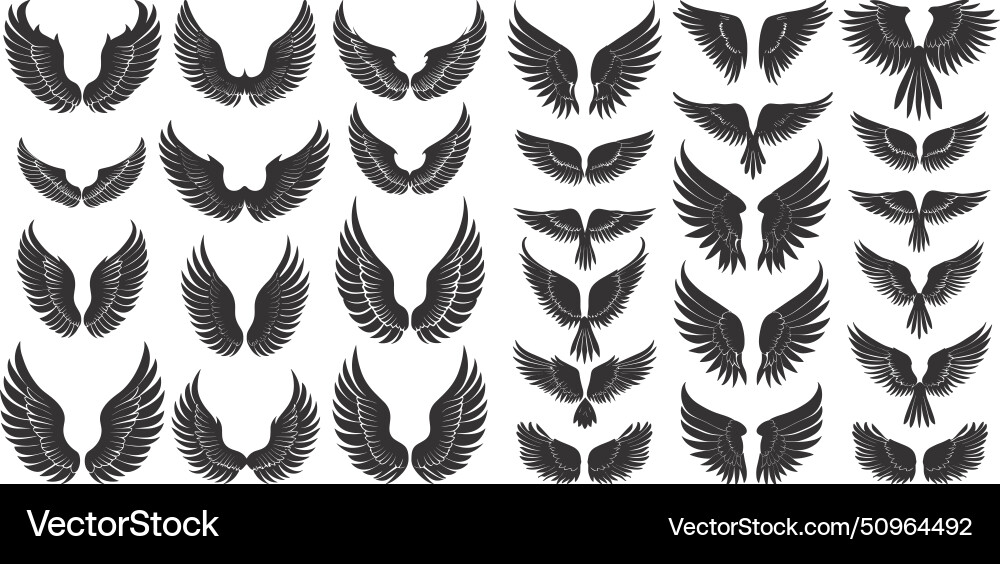Bird wings black silhouettes different shapes Vector Image