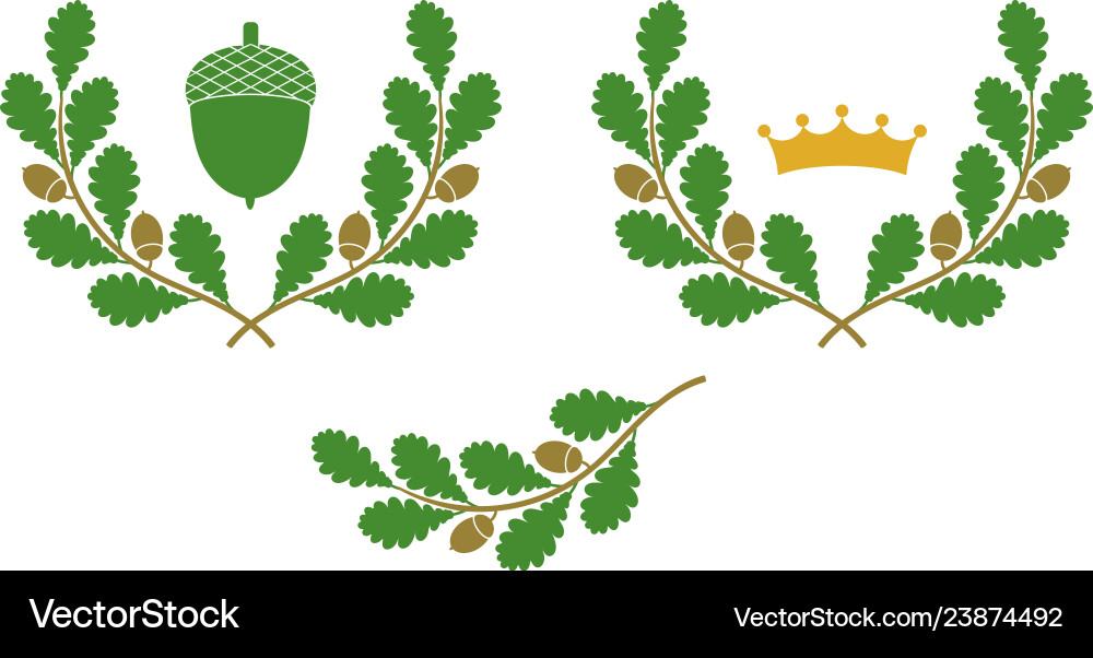 Oak wreath Royalty Free Vector Image - VectorStock