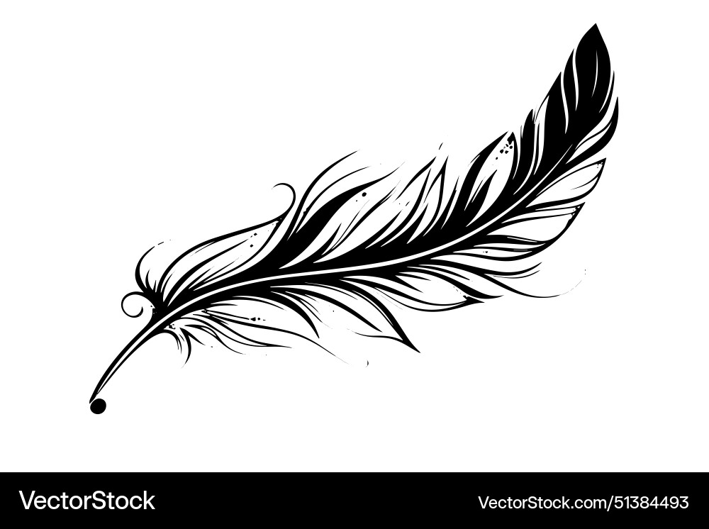 Feather engraved in sketch style isolated on white
