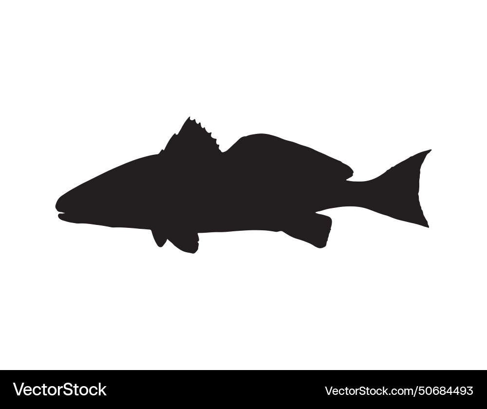 Red drum fish silhouette art Royalty Free Vector Image