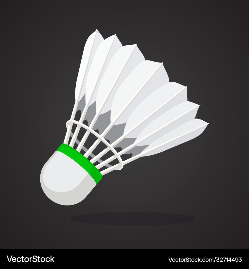 Shuttlecock for badminton from bird feathers Vector Image