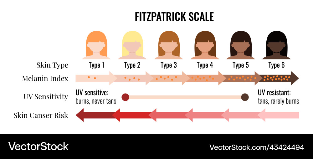 Fitzpatrick skin tone scale phototype melanin Vector Image