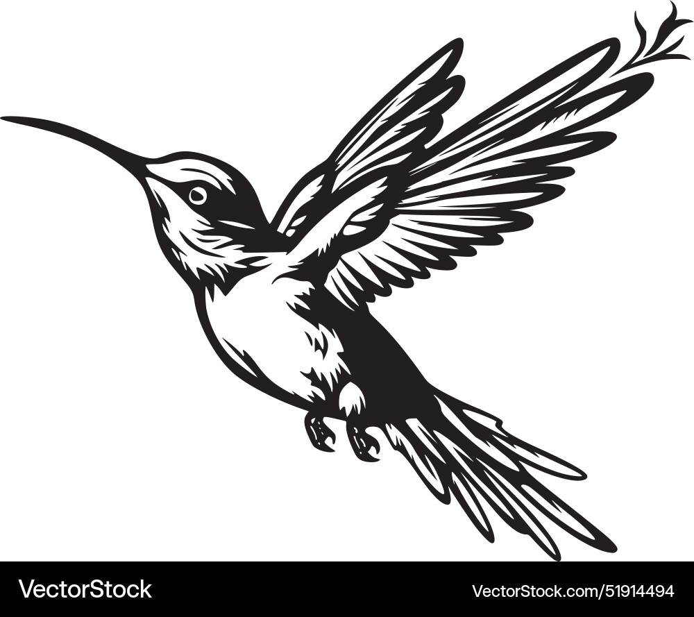 Hummingbird - high quality logo ideal Royalty Free Vector