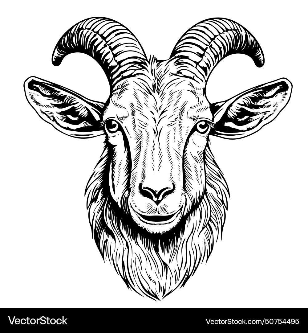 Goat hand drawn Royalty Free Vector Image - VectorStock