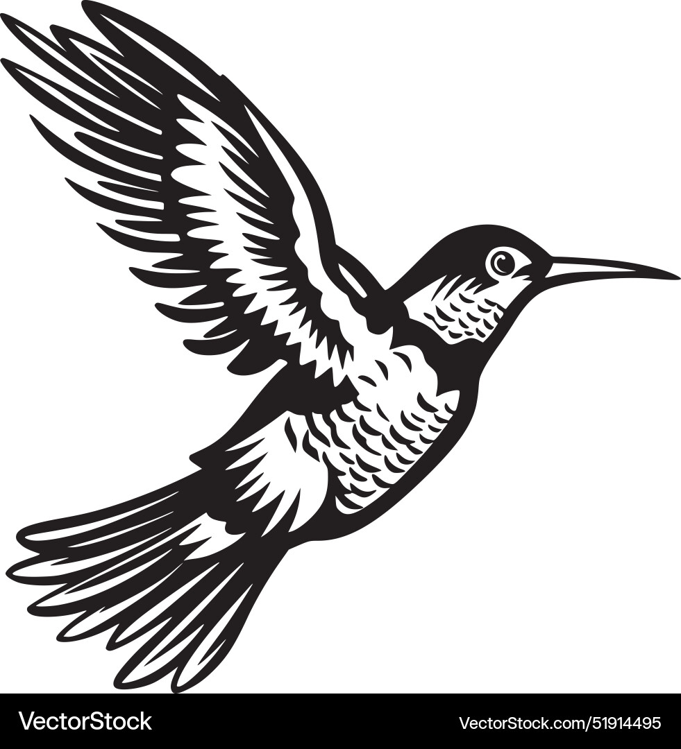 Hummingbird - black and white Royalty Free Vector Image