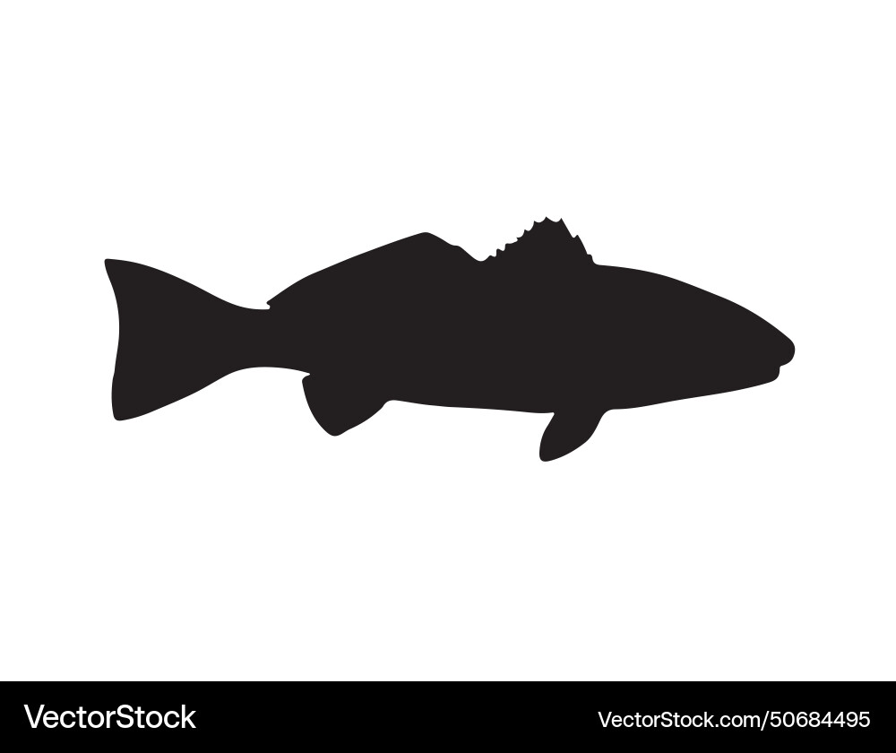 Red drum fish silhouette art Royalty Free Vector Image
