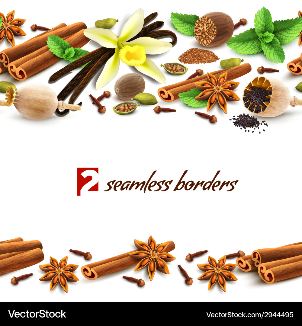 Spices seamless borders Royalty Free Vector Image