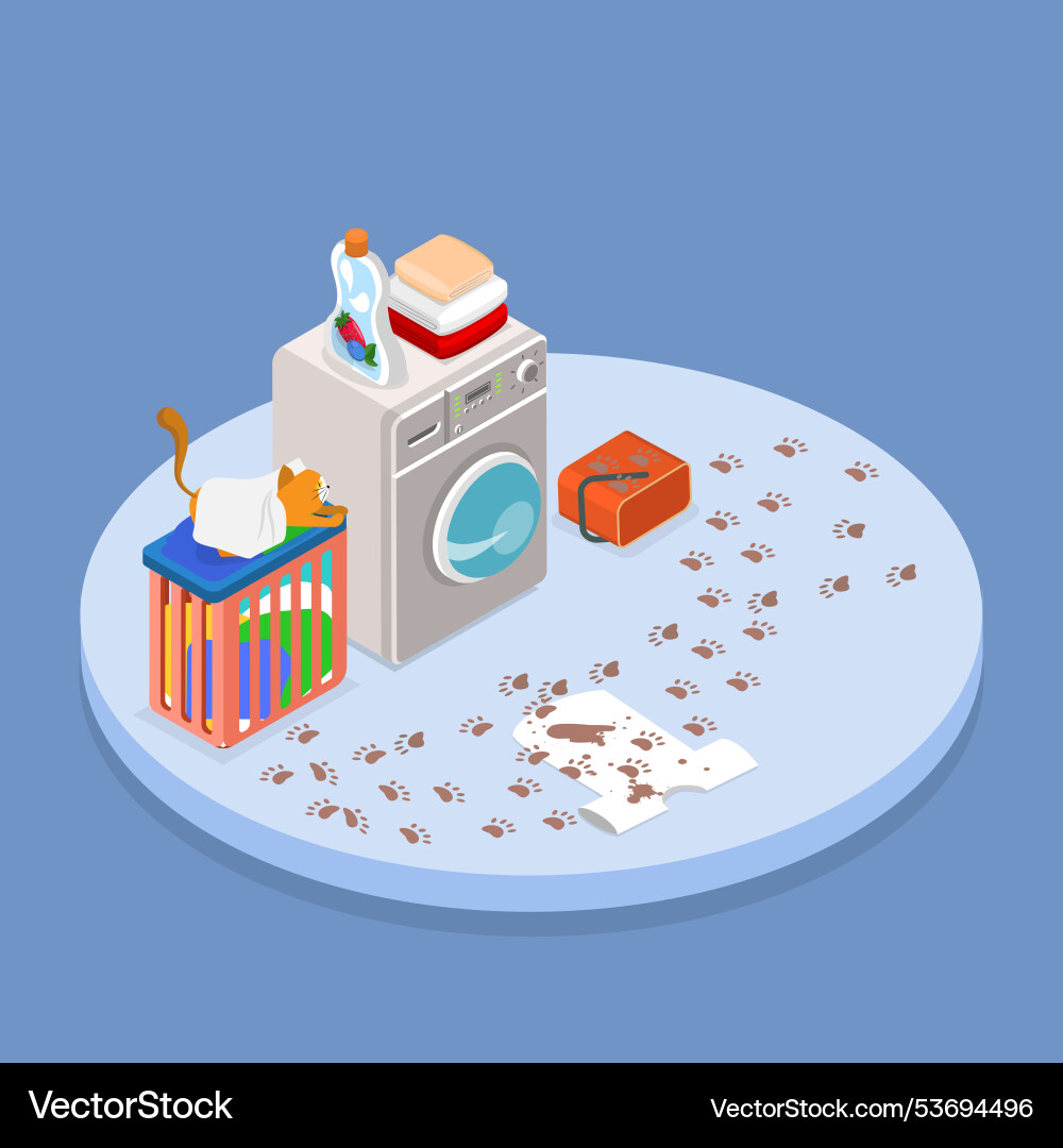 3d isometric flat of laundry Royalty Free Vector Image