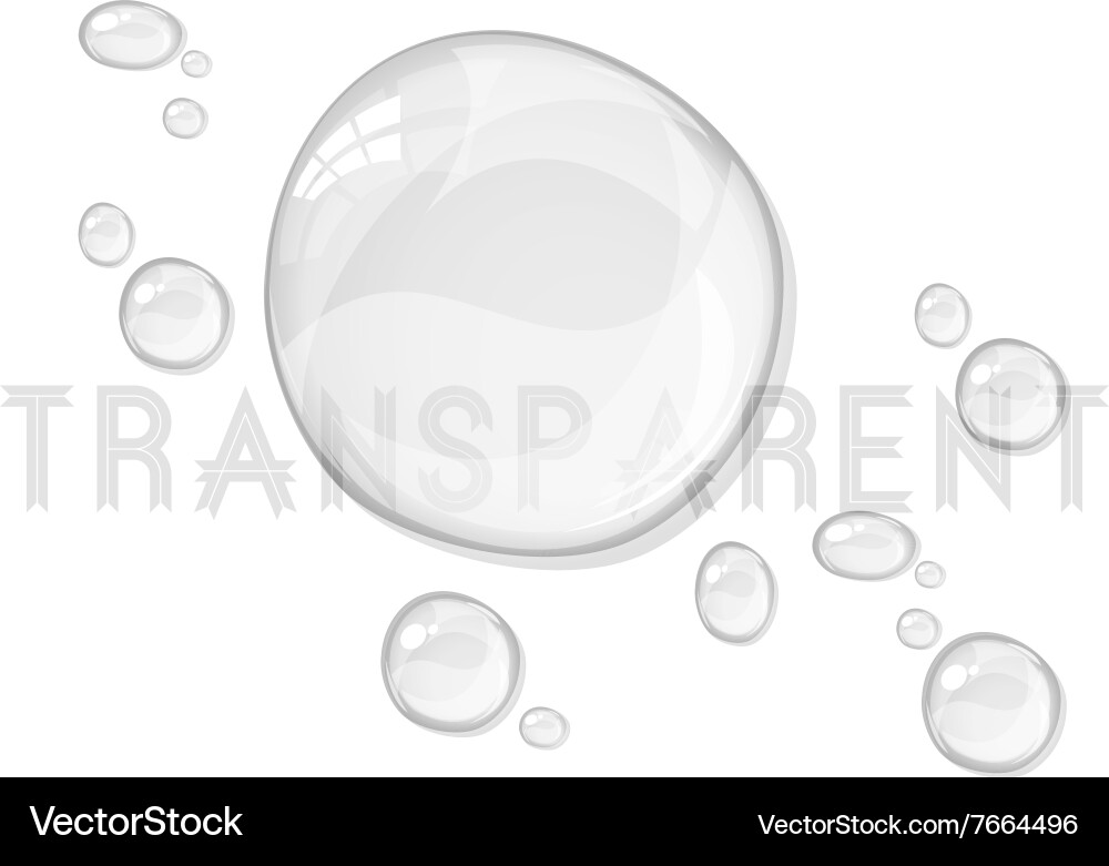 Abstract water drops isolated on white Royalty Free Vector
