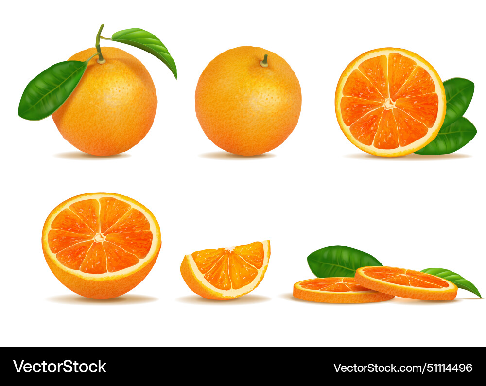 Orange slices fruit citrus half cut and whole Vector Image