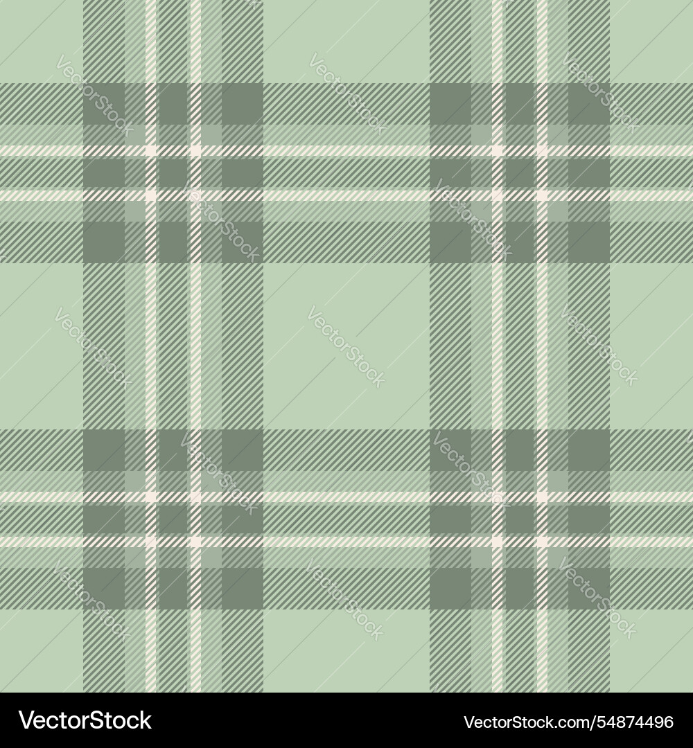 Vichy plaid pattern calm tartan seamless Vector Image