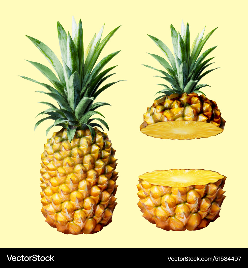 3d realistic pineapple elements Royalty Free Vector Image