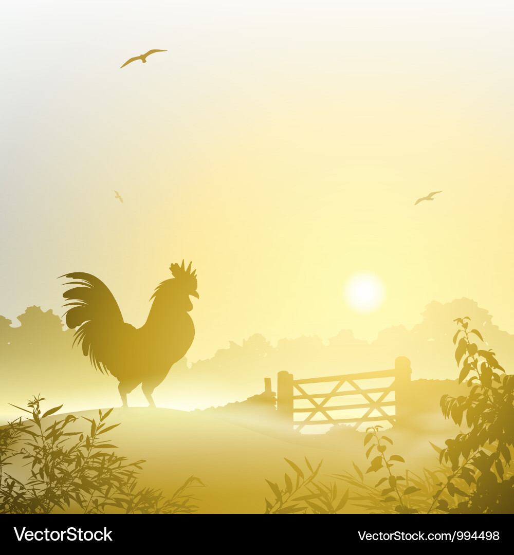 Cockerel rooster Royalty Free Vector Image - VectorStock