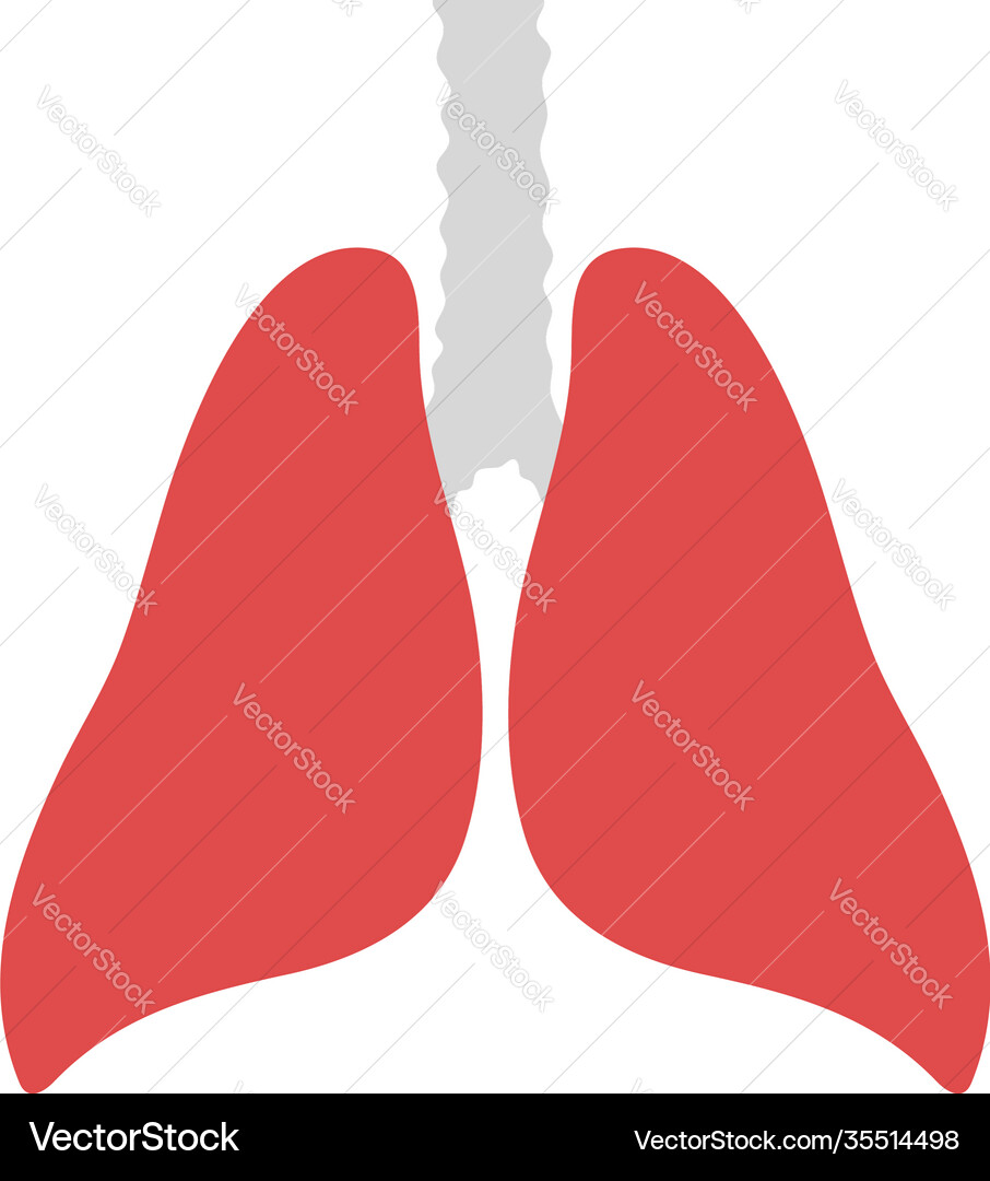 Human lungs icon Royalty Free Vector Image - VectorStock